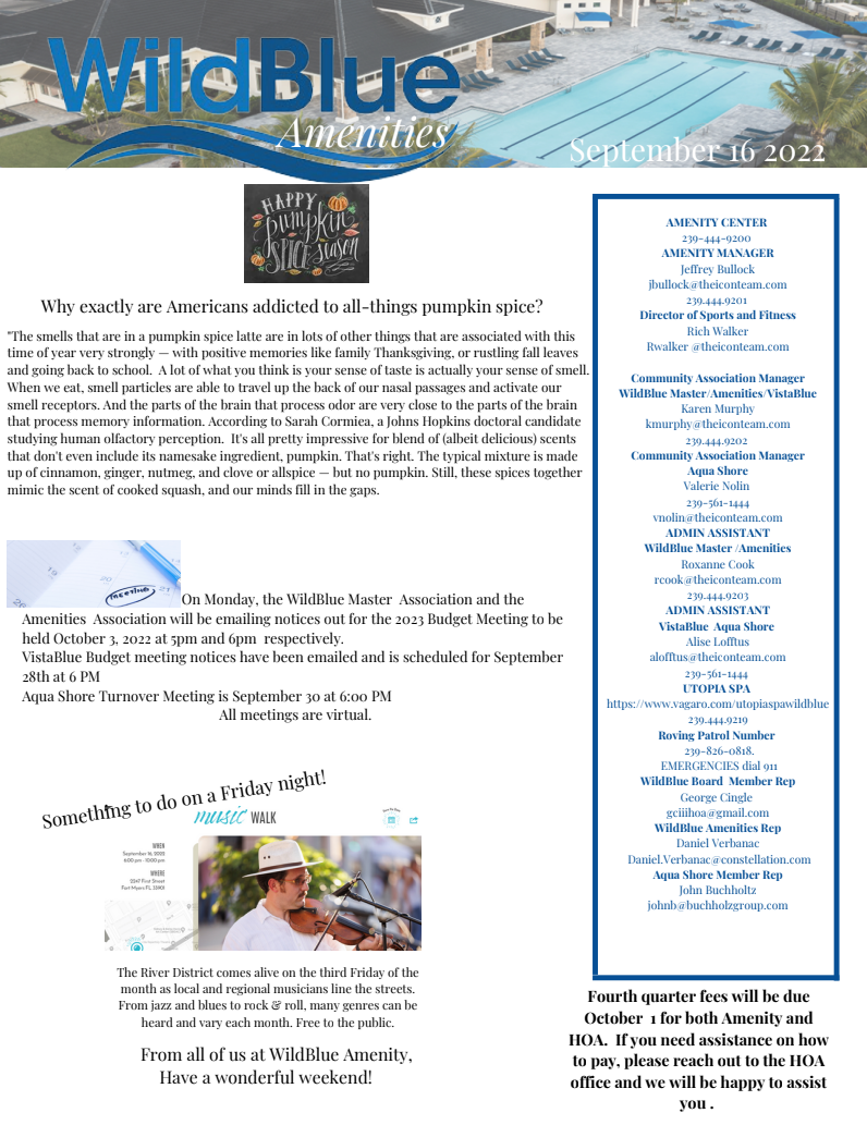 Fix Fine Furniture - Wildblue Life