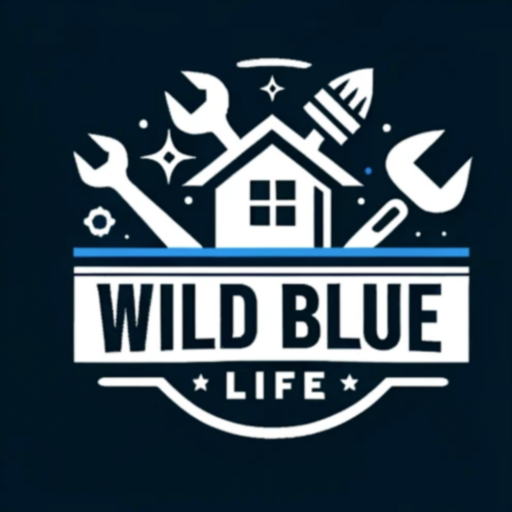San Diego's Painting - Wildblue Life